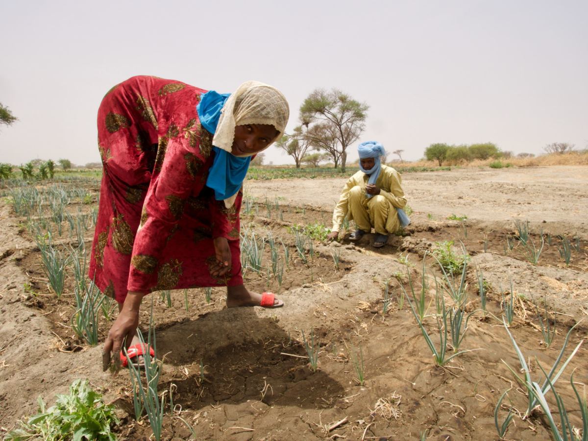 Climate-fragility risk: Natural resource conflicts - SHORING UP STABILITY